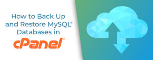 How to Back Up and Restore MySQL® Databases in cPanel | cPanel
