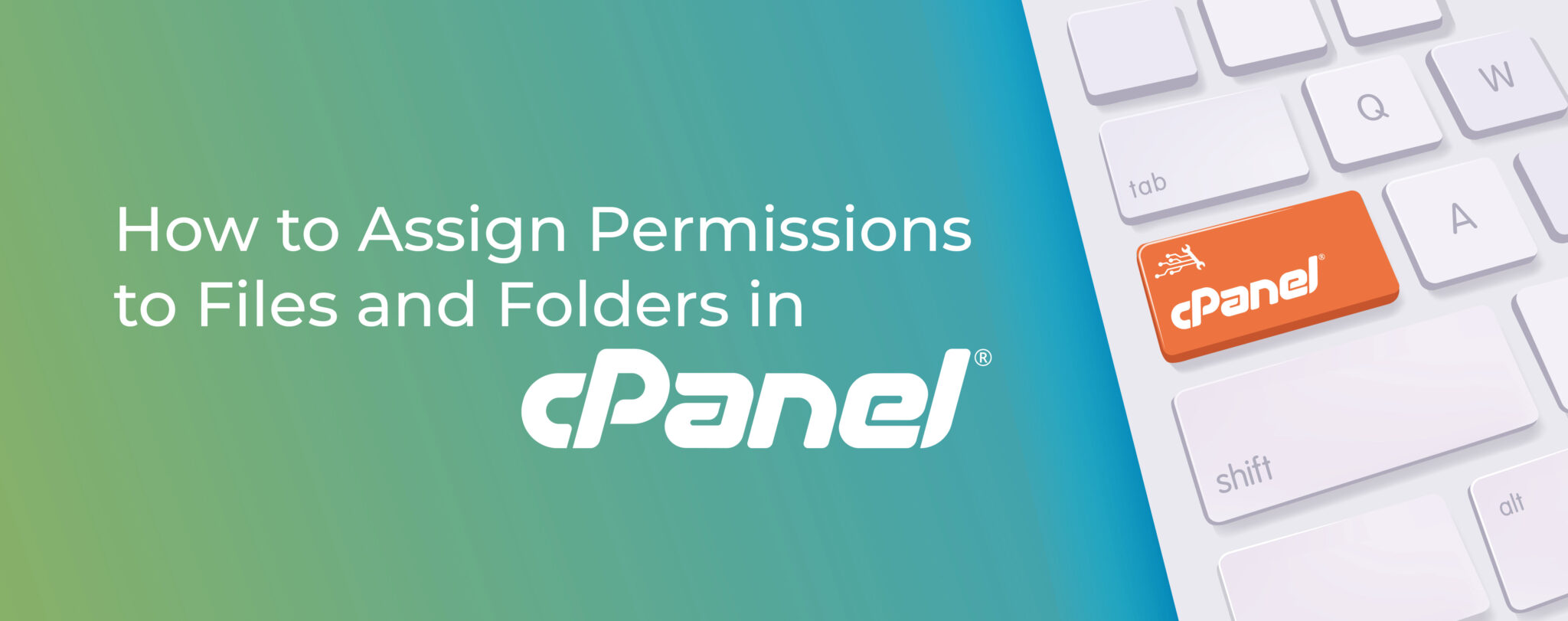 How to Assign Permissions to Files and Folders in cPanel | cPanel