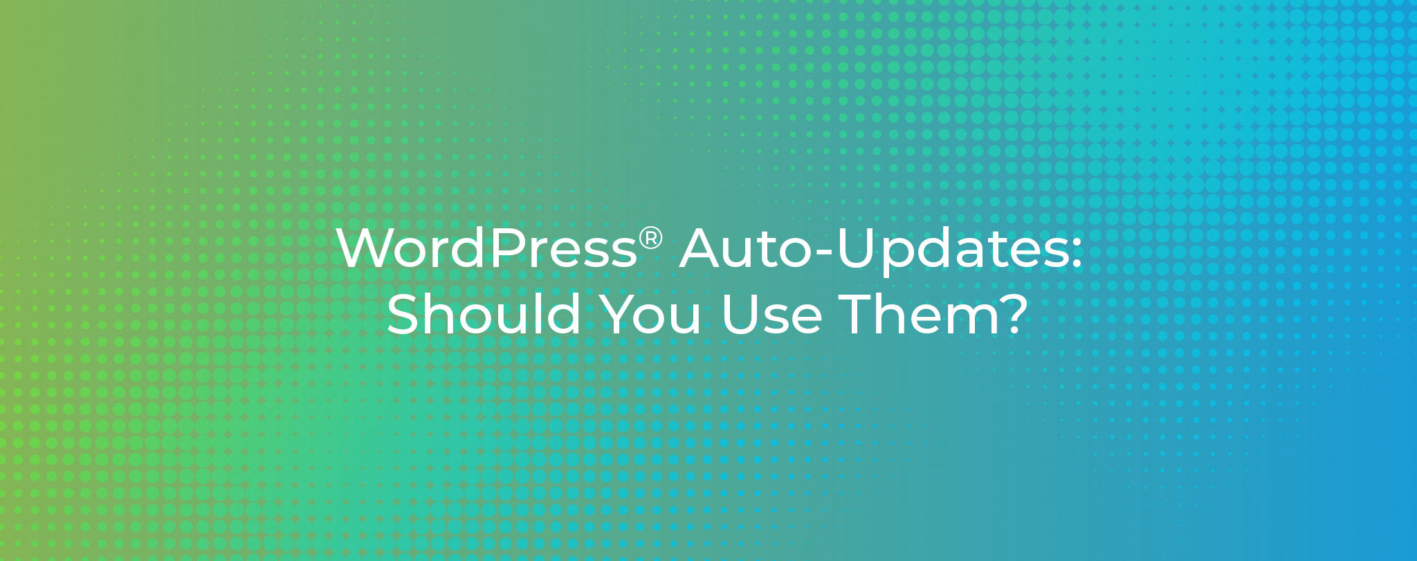WordPress® Auto-Updates: Should You Use Them? | cPanel