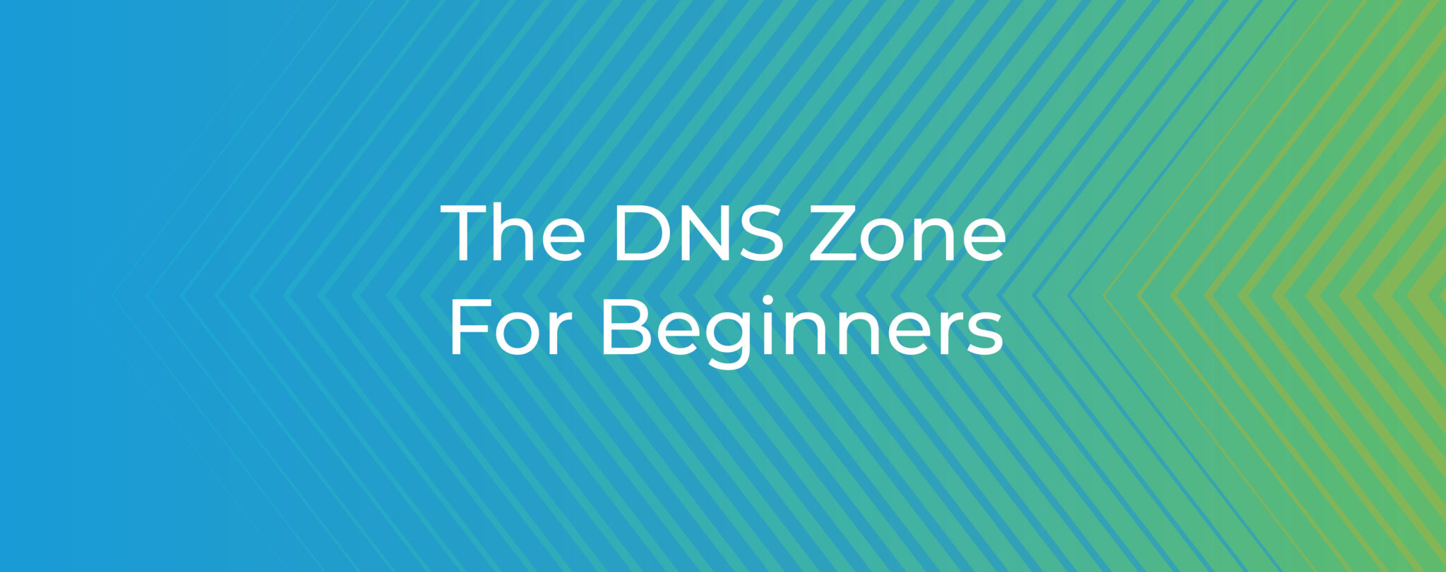 The DNS Zone For Beginners | cPanel